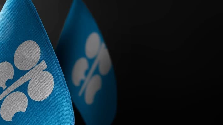 OPEC's 2024 Crude Oil Production Cuts, Explained | OilPrice.com