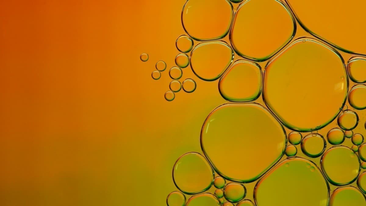 Federal Standards on ‘Forever Chemicals’ Face Legal Challenges ...