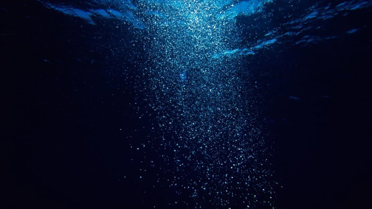 Investors Seem Ready To Go All-In on Deep Sea Mining | OilPrice.com