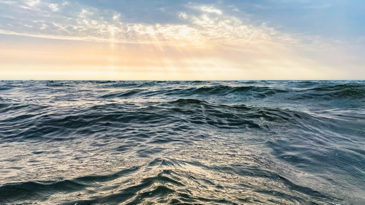 Serica Energy Expands North Sea Footprint with Prax Acquisition ...
